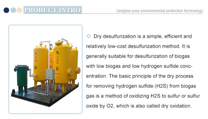 Biogas Desulfurizer Remove H2S Biogas Purification Equipment ALaS
