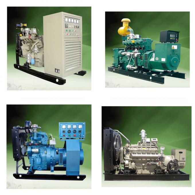 Electric Start Biogas Generator Equipment Customized Power Output